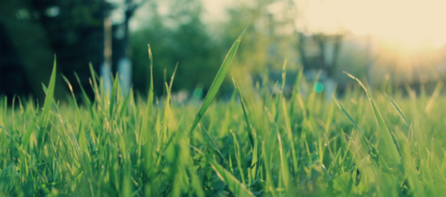 Anti-Theft Water Locks for Taps & Spigots - Flow Security Systems